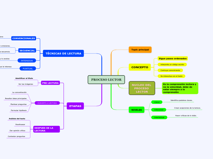 PROCESO LECTOR - Mind Map